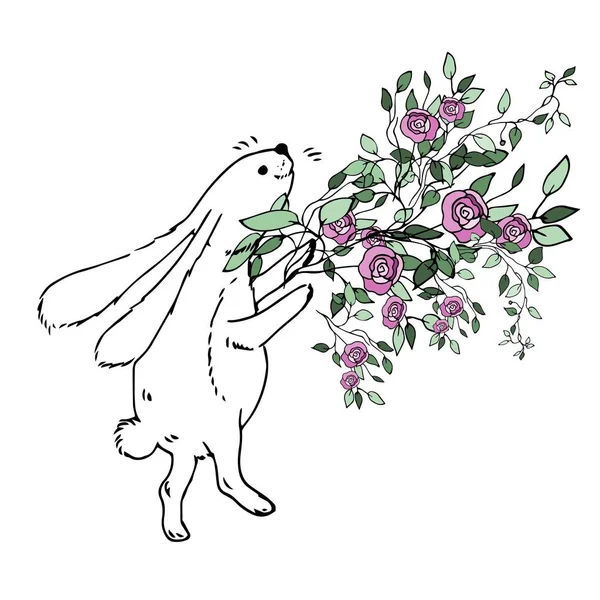 Rabbit outline Images - Search Images on Everypixel