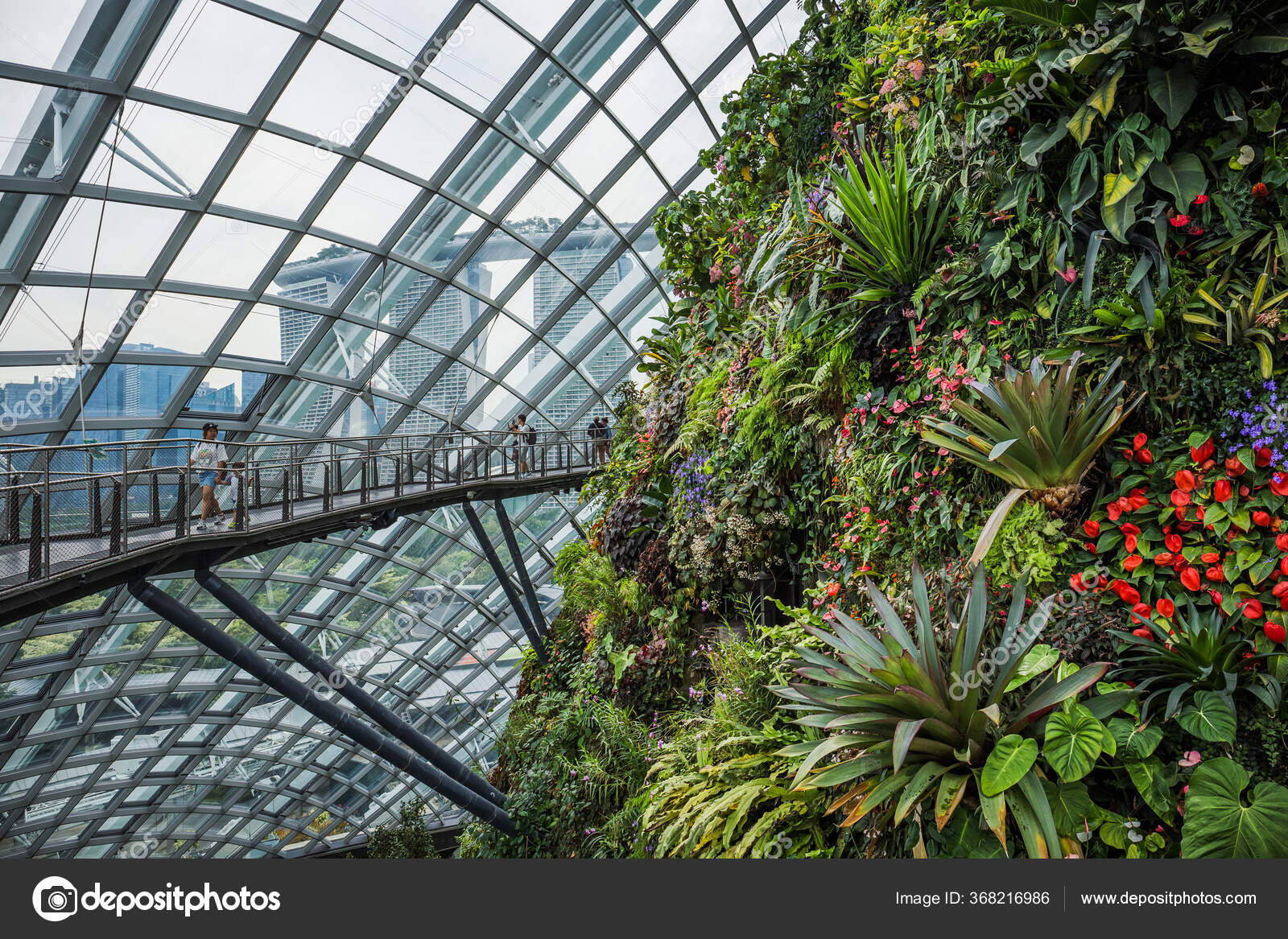 Bosque Nuboso Uno Los Dos Jardines Ubicados Cúpula Garden Bay — Foto ...