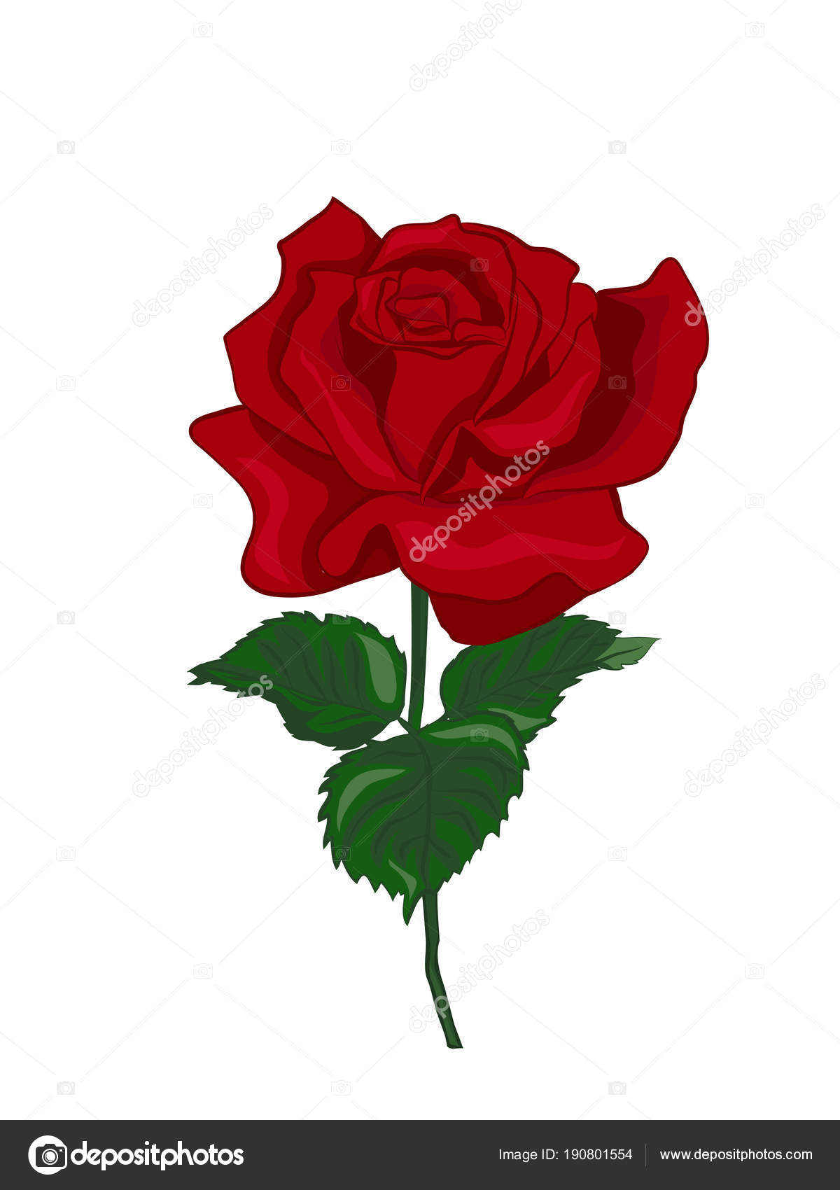 Single red rose Stock Vector Image by ©Likka #190801554