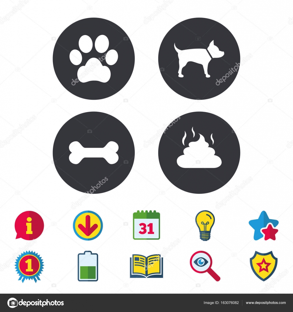 Pets icons. Dog paw and feces signs. Stock Vector by ©Blankstock 163076082