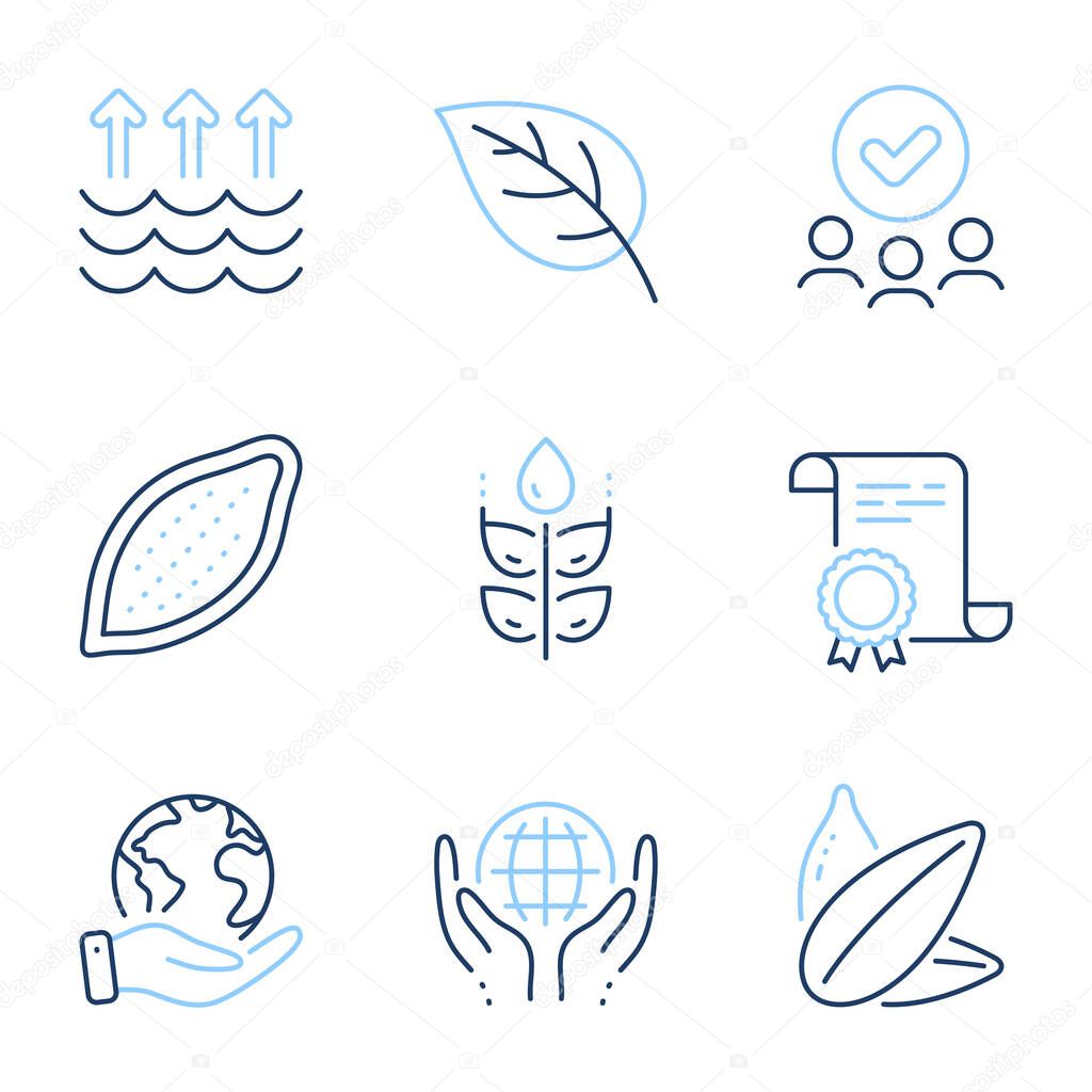 Conjunto de iconos de línea de semillas de cacao y girasol sin gluten ...