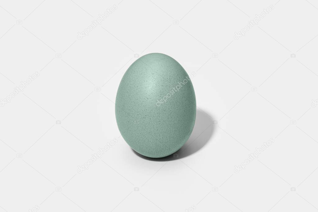 Huevo de Araucana aislado sobre fondo blanco. Huevos azules o verdes de ...