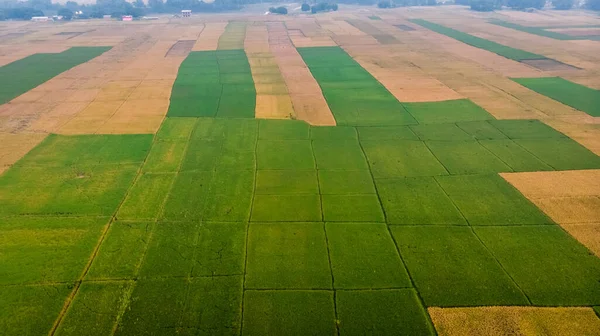 Aerial or Bird's eye view of freshly harvested wheat field in the flat ...