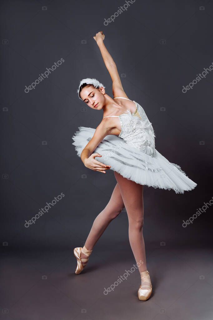 Retrato cl sico de bailarina de ballet. Hermosa bailarina elegante en tut blanco de Swan Lake pr ...