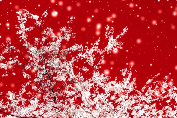 Red snow background Stock Photos, Royalty Free Red snow background ...