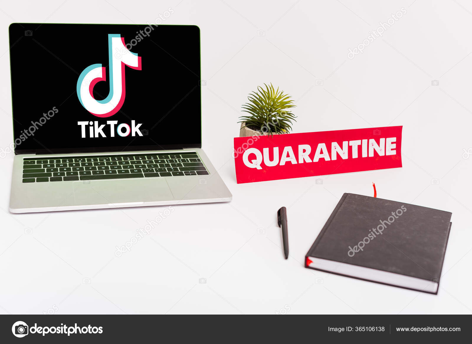 Kyiv Ukraine April 2020 Laptop Tik Tok Website Screen Plant — Stock ...