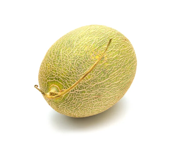 Melon hanging in tree Stock Photos, Royalty Free Melon hanging in tree ...