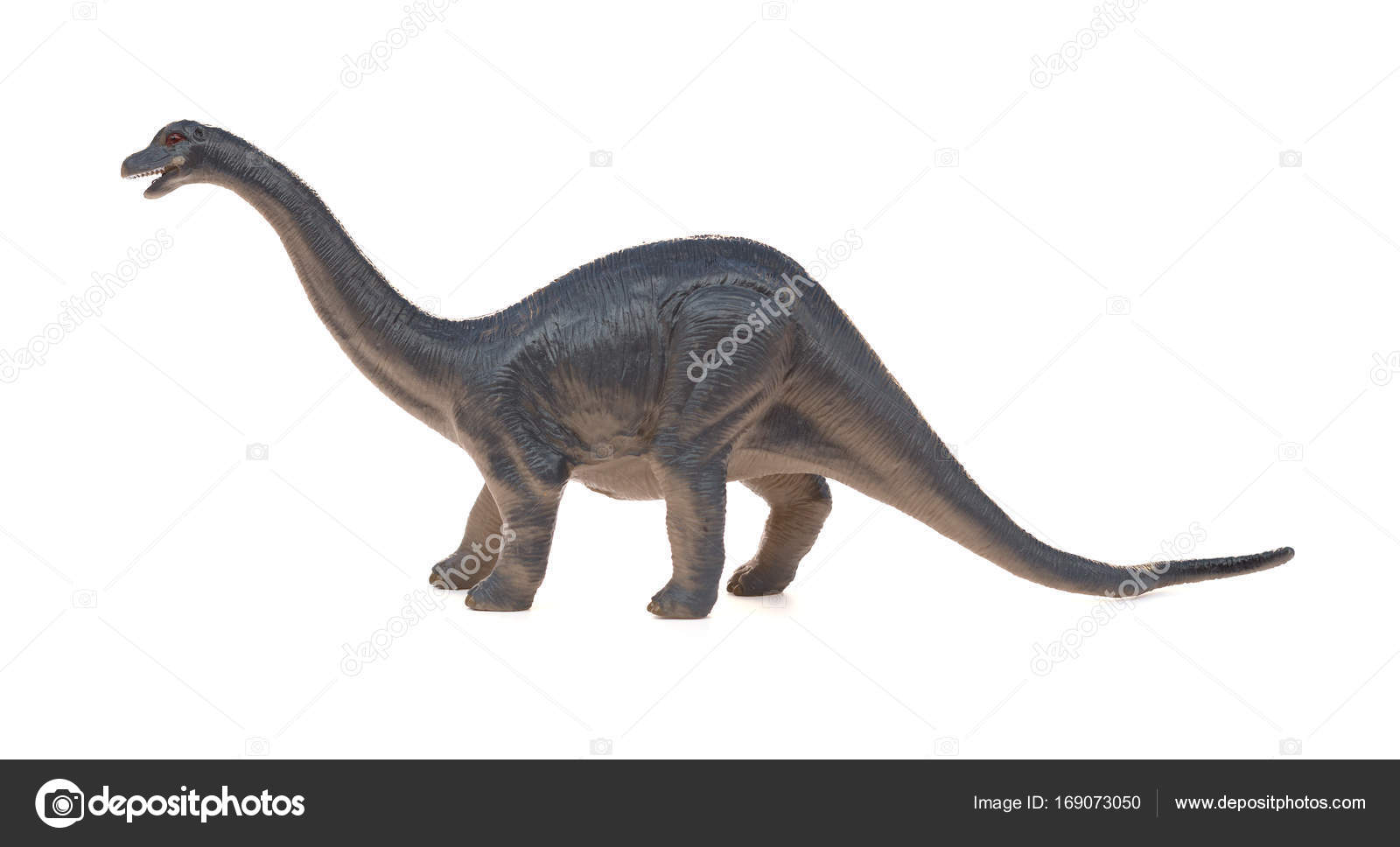 Side view Diplodocus toy on a white background Stock Photo by ©FreerLaw ...