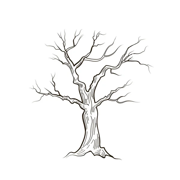 ᐈ Silhouettes of trees without leaves stock vectors, Royalty Free tree ... ᐈ Silhouettes of trees without leaves stock vectors, Royalty Free tree ...