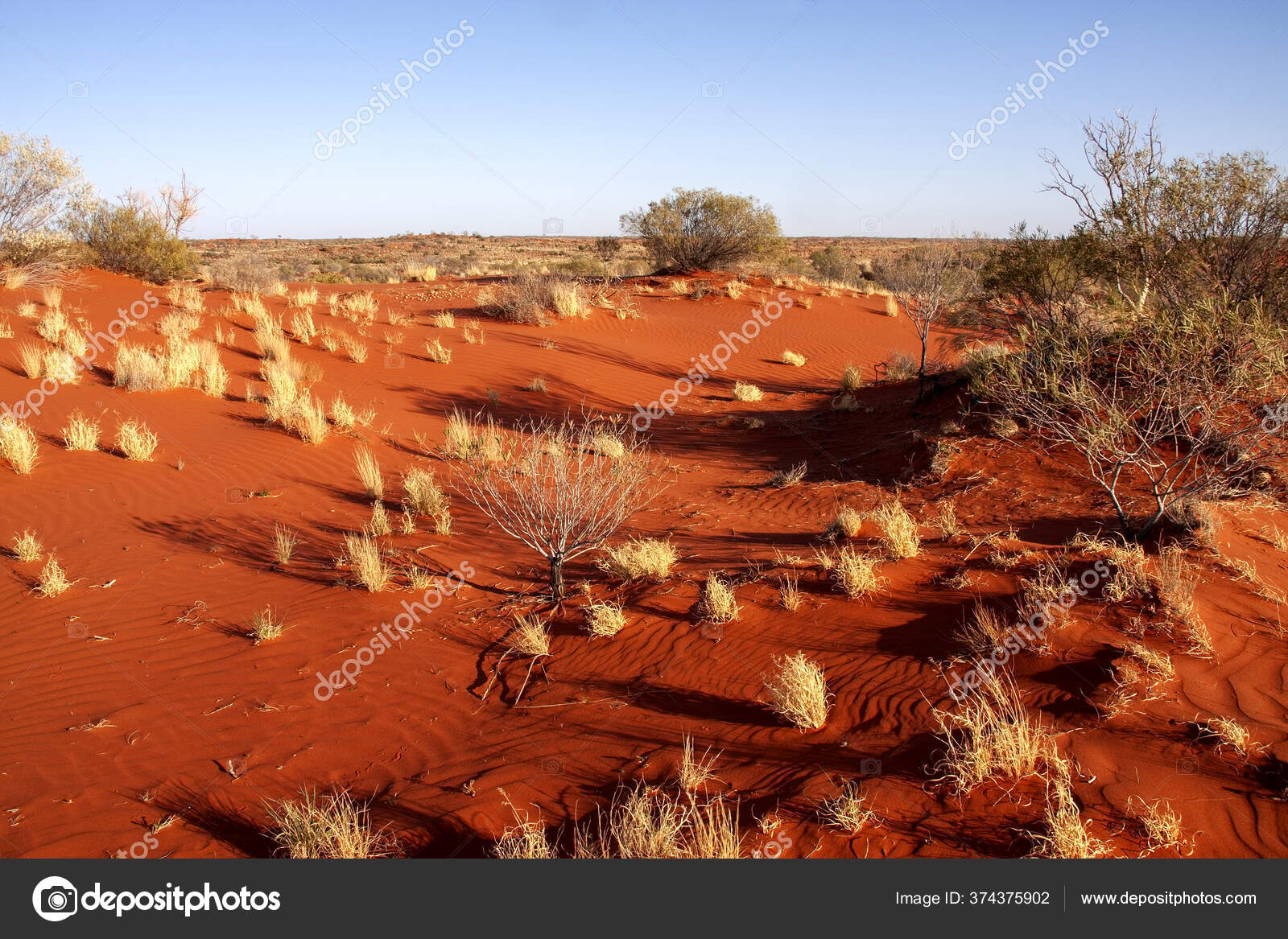 Australian Landscape Desert