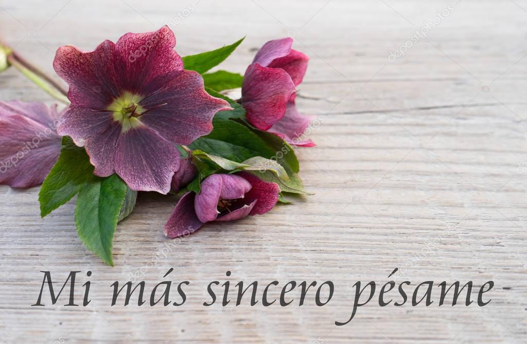 Imágenes De Sentido Pésame Mis Más Sinceras Condolencias — Foto De Stock © Coramueller 137935124