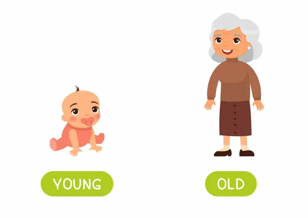 Opposites old young Vector Art Stock Images | Depositphotos