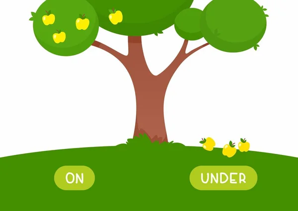 530 Preposition Vector Images | Depositphotos