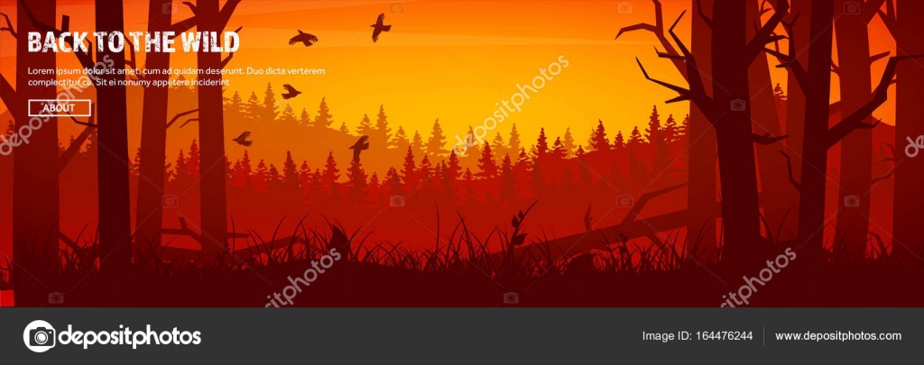 Mountains and forest header. Wild nature landscape. Travel and ...