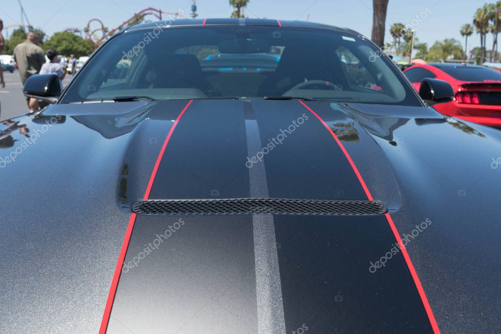 Ford Mustang GT 350 sexta generaci n en exhibici n 2024