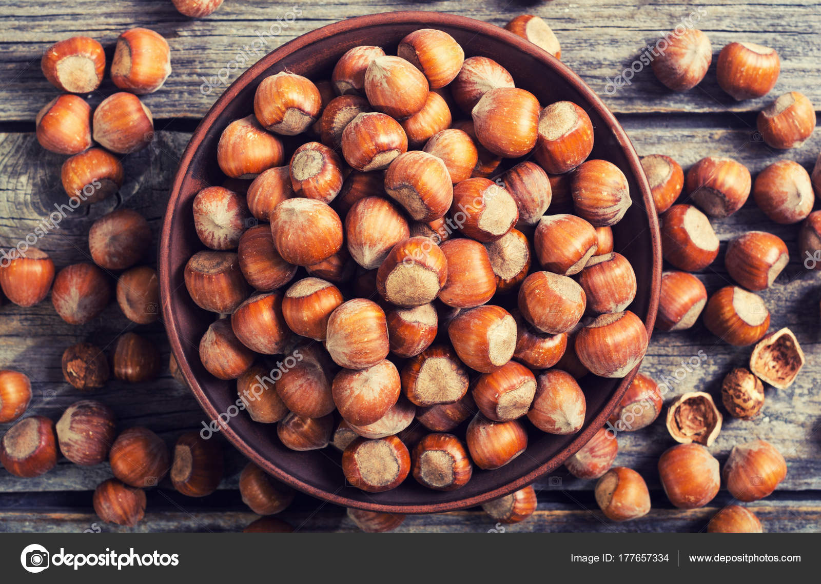 Group of hazelnuts Stock Photo by ©whitestorm4 177657334