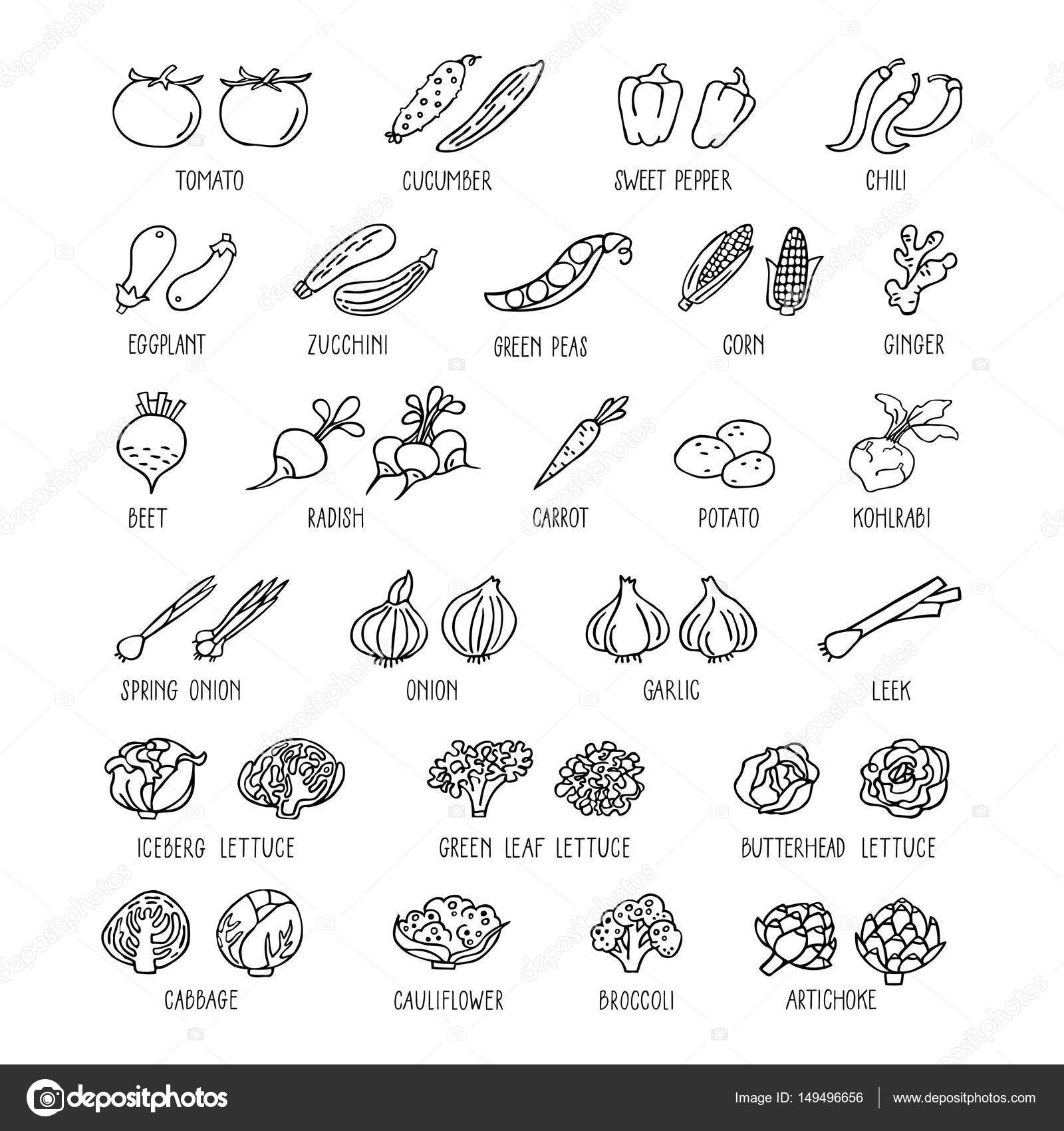 Vegetables hand drawn icon set in line styl Stock Vector Image by ...