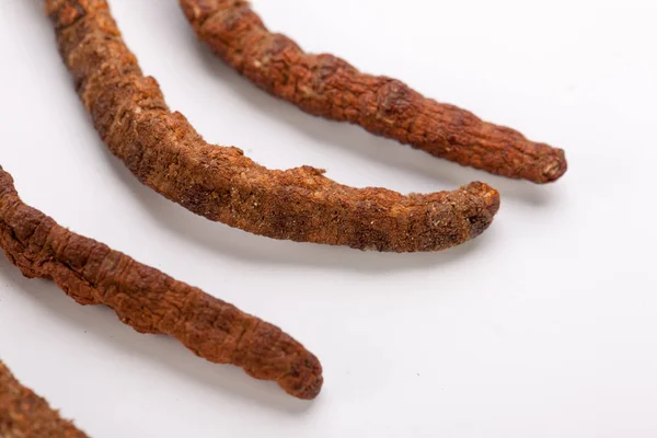 Yarsagumba Cordyceps sinesis Yartsa Gunbu used in Traditional Chinese ...