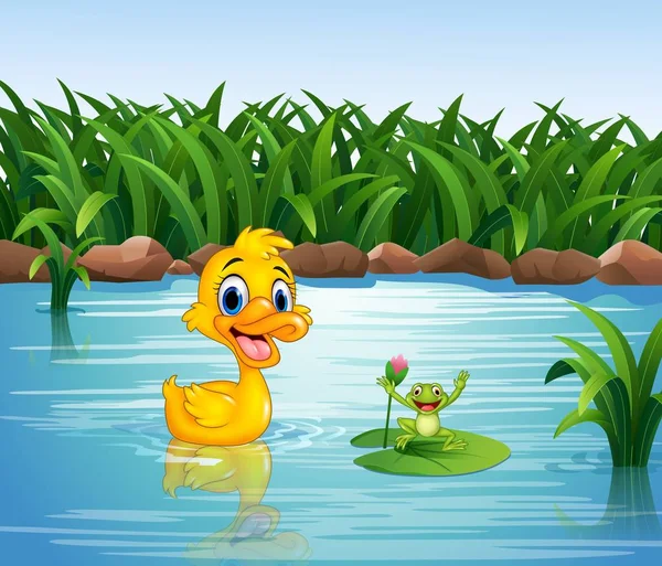 Estanque con patos imágenes de stock de arte vectorial | Depositphotos