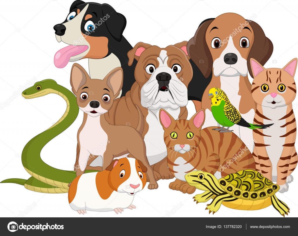 Grupo de dibujos animados de las mascotas — Vector de stock © tigatelu ...