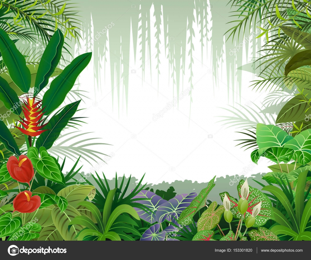 Illustration of tropical forest background Stock Vector Image by ...