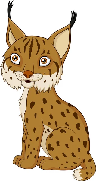 781 Cartoon lynx Vector Images | Depositphotos