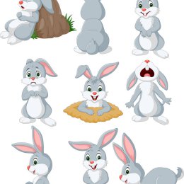 Bunny tail Stock Photos, Royalty Free Bunny tail Images | Depositphotos