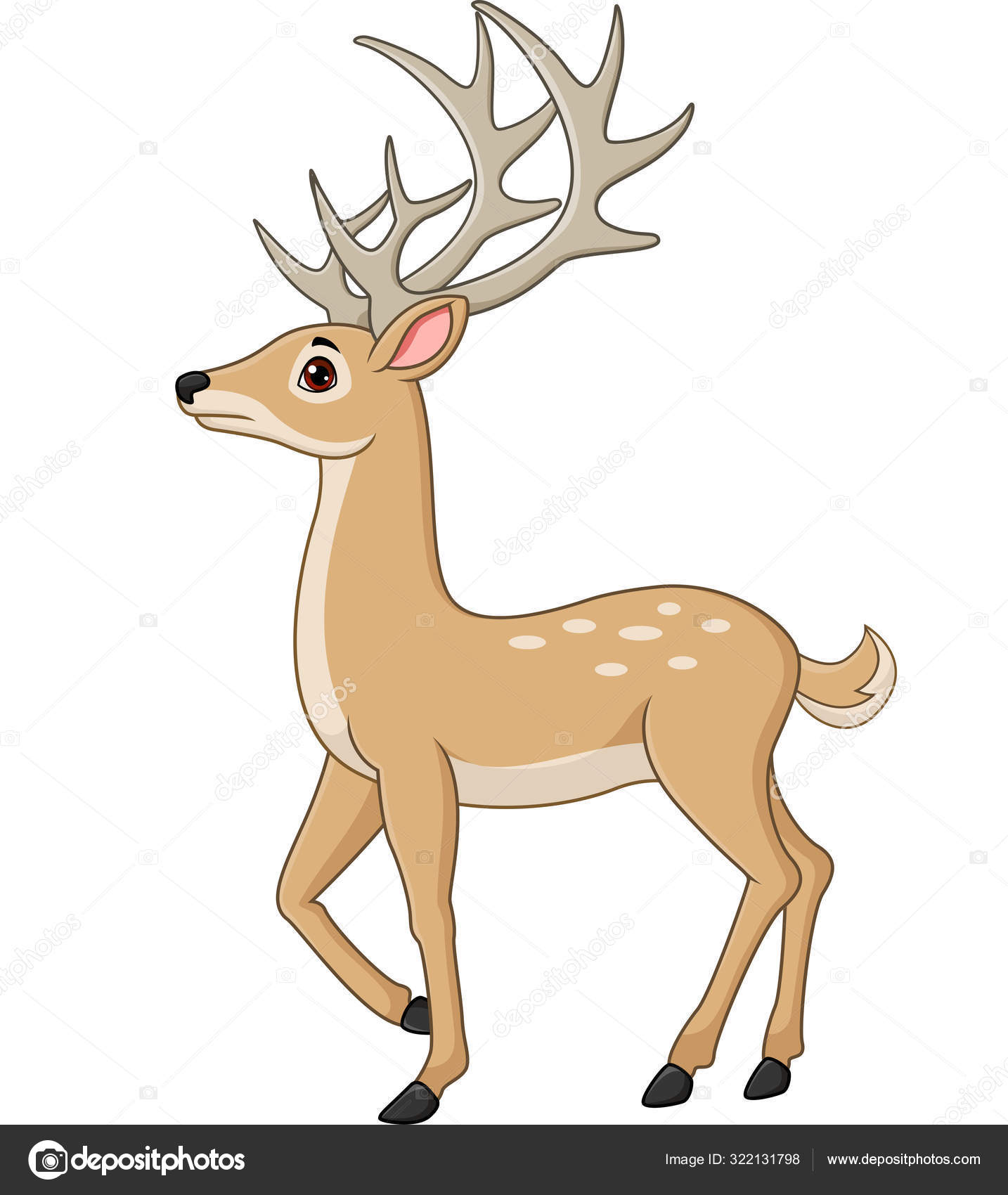 Cervo Animato Che Corre 4.845 Running Deer Stock Photos, High Res