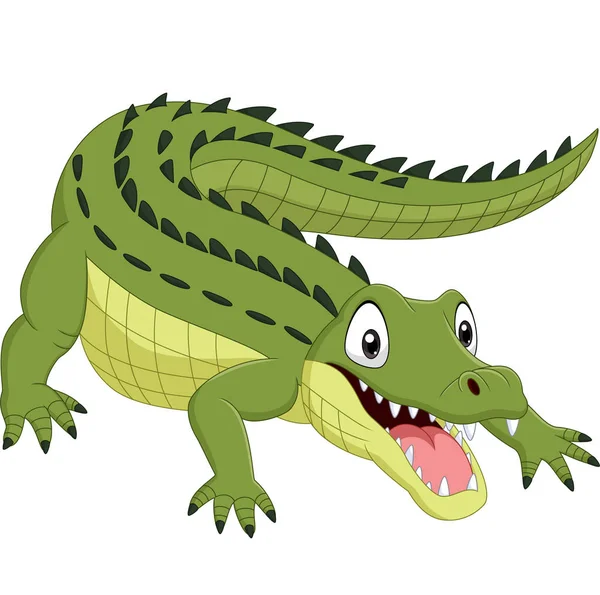 Vector Illustration Cartoon Crocodile Isolated White Background Stock ...
