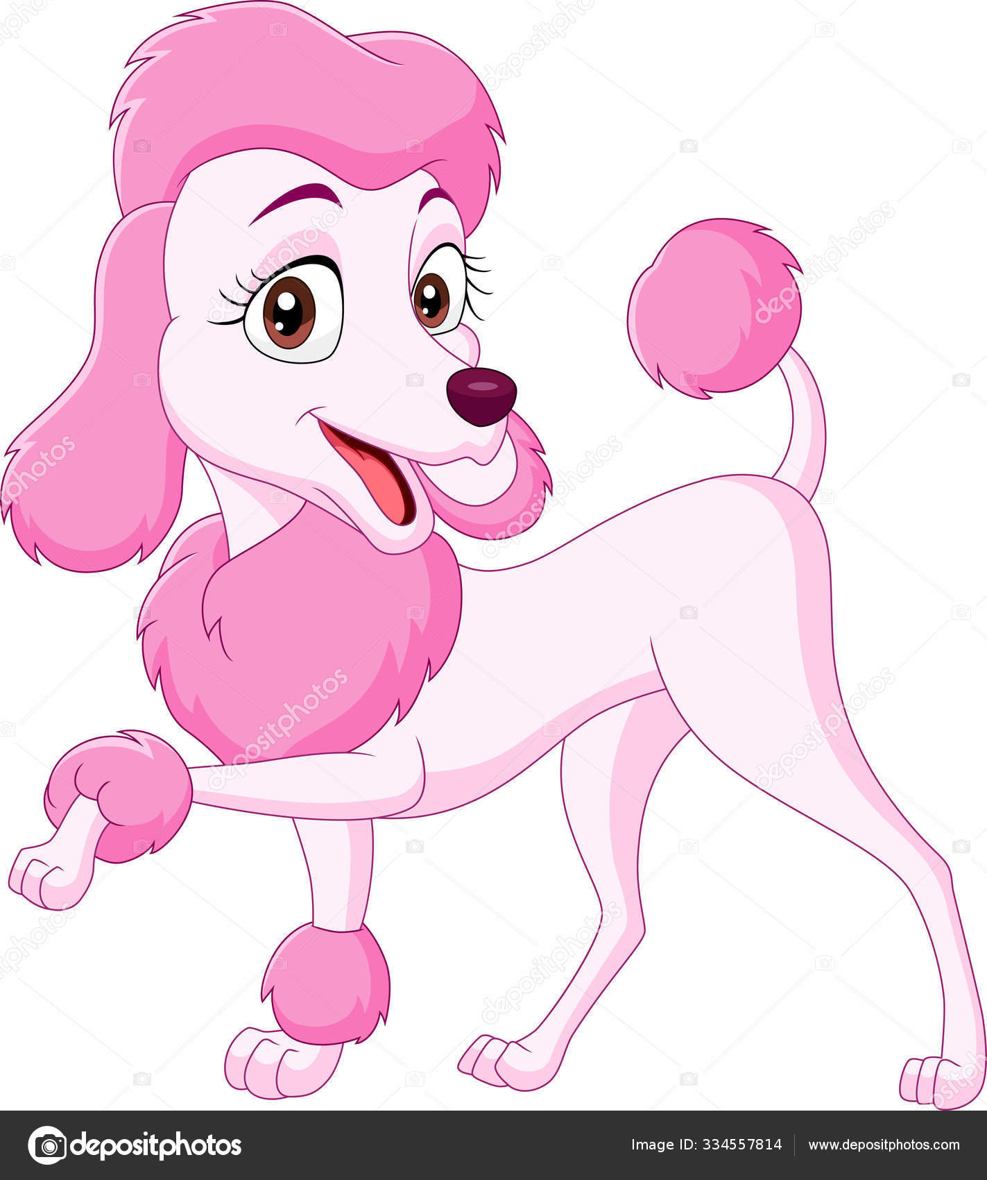 Vector Illustration Cartoon Happy Pink Poodle Isolated White Background ...
