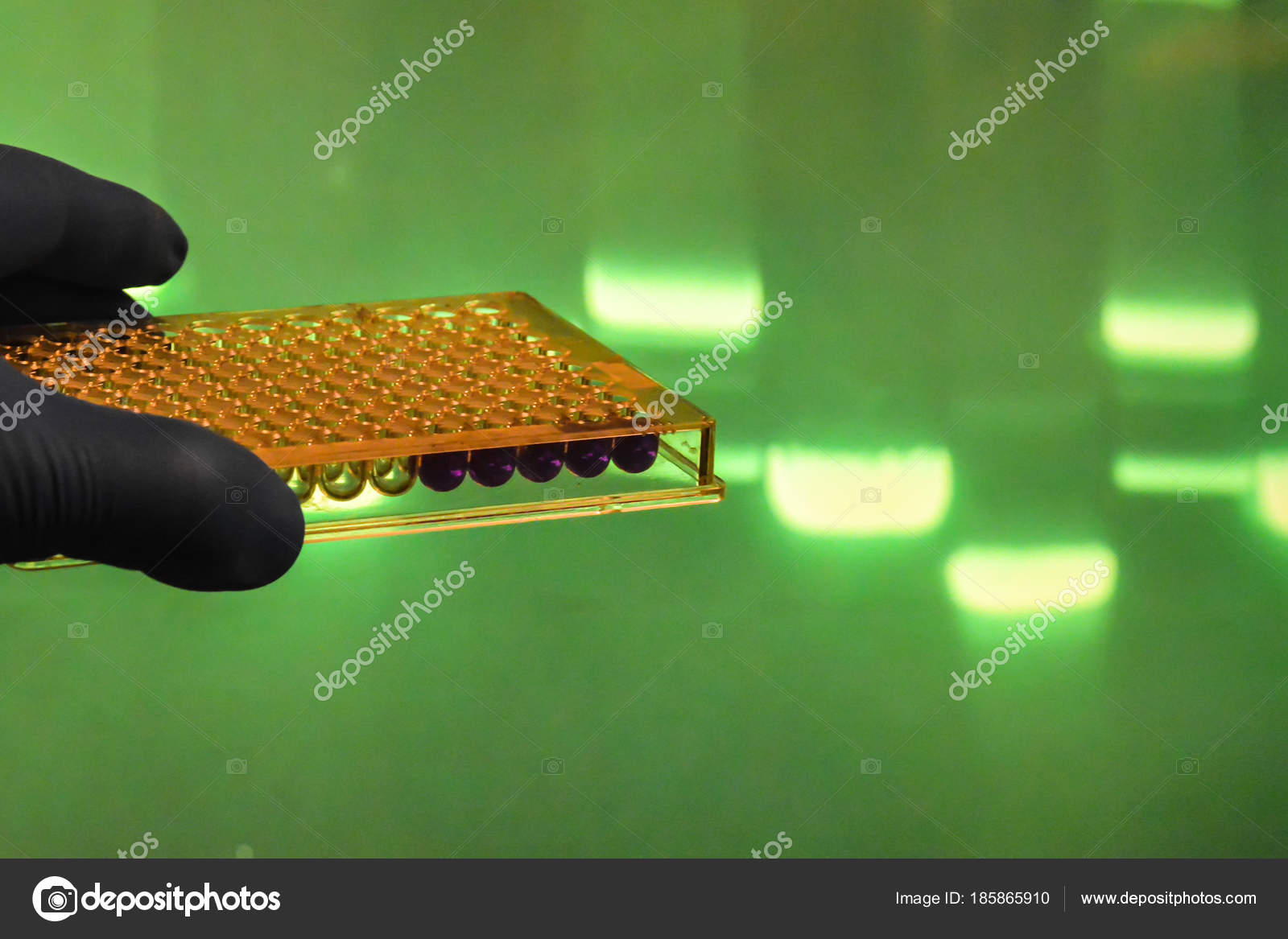 Laboratory DNA testing. — Stock Photo © sergunt #185865910