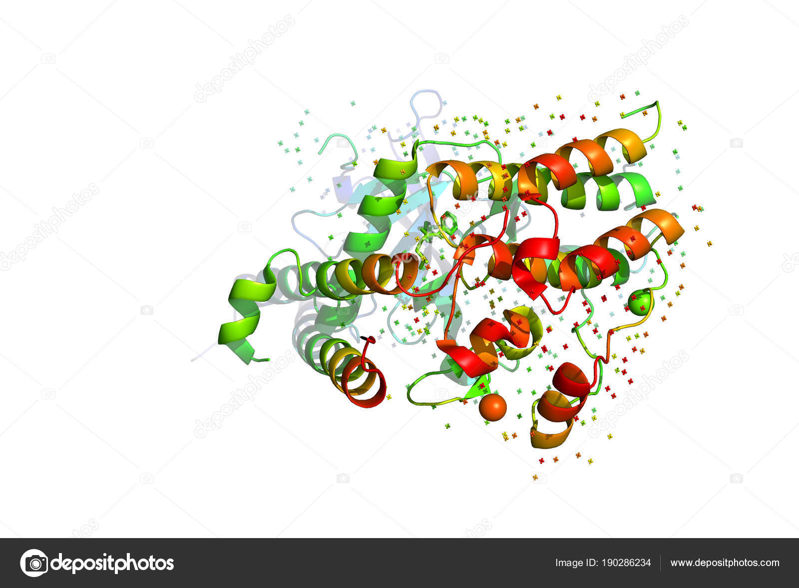 Pictures Of Protein Molecules