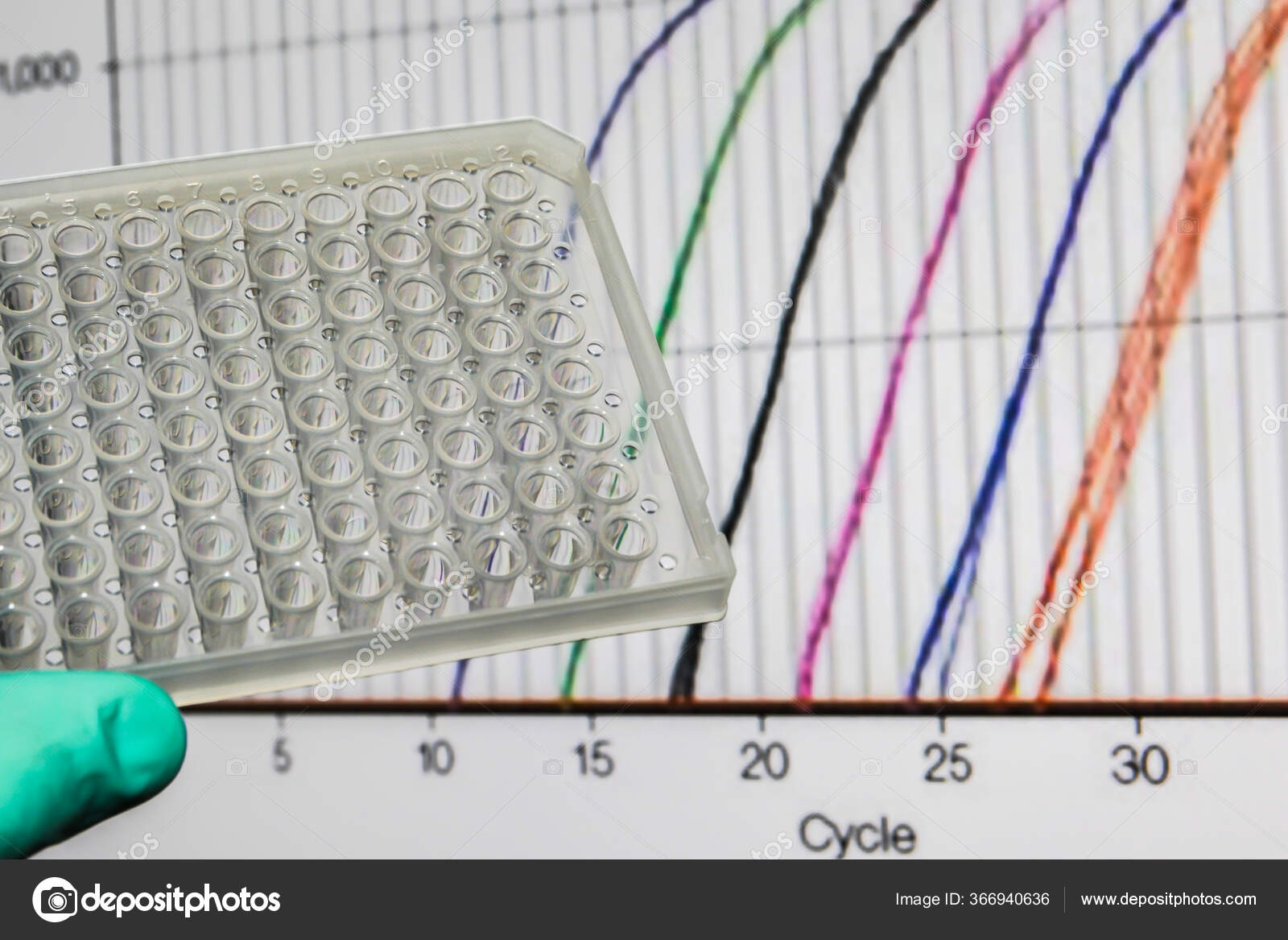 Research Method Real Time Pcr Well Plate Background Amplification ...