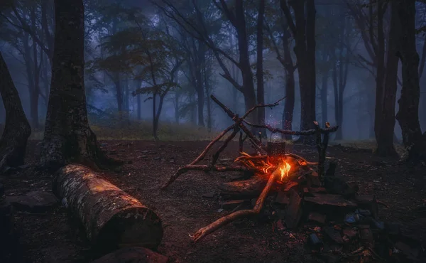 Evening gatherings around the campfire - Stock Image - Everypixel