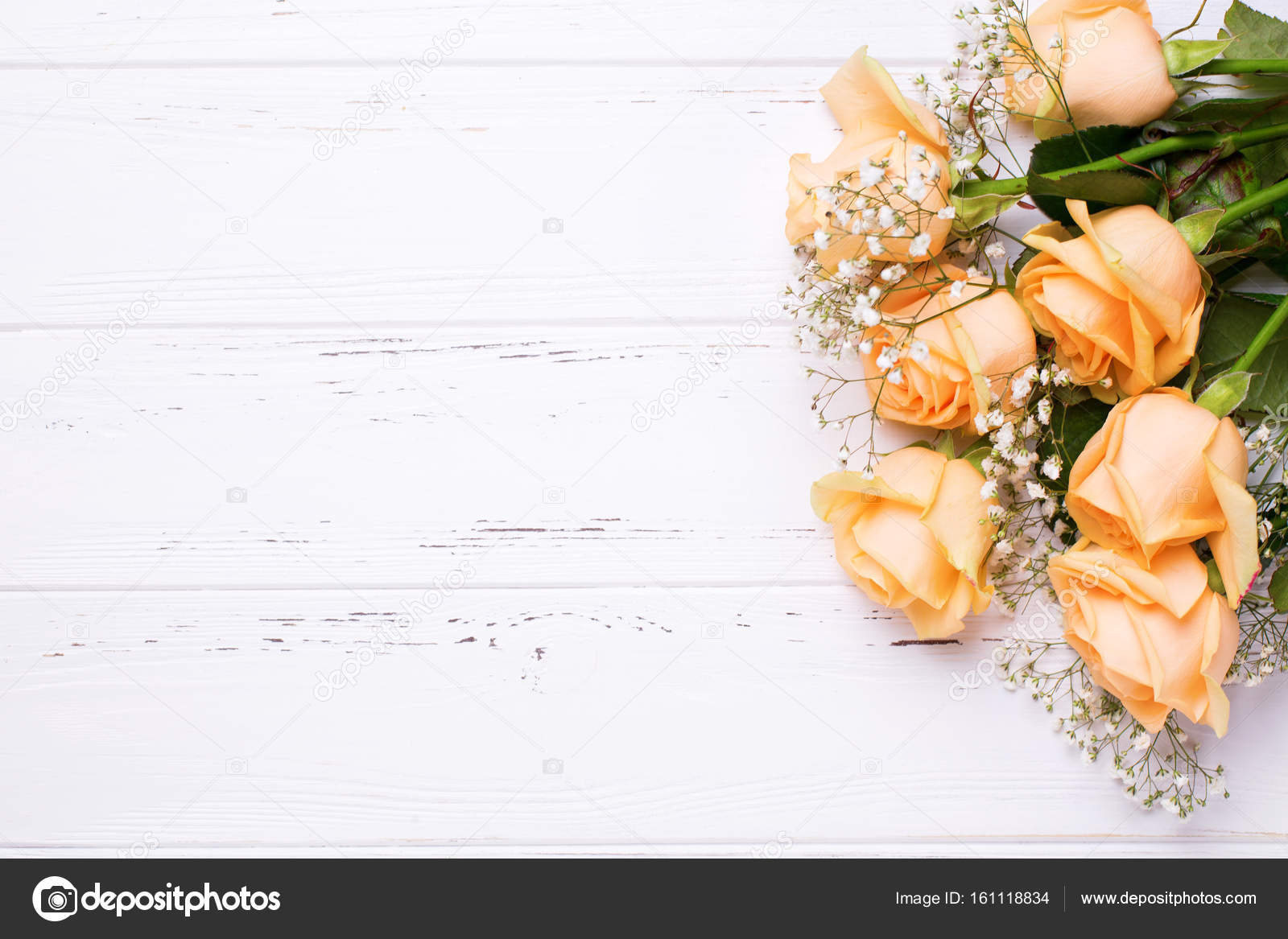 Peach color roses Stock Photo by ©daffodil 161118834