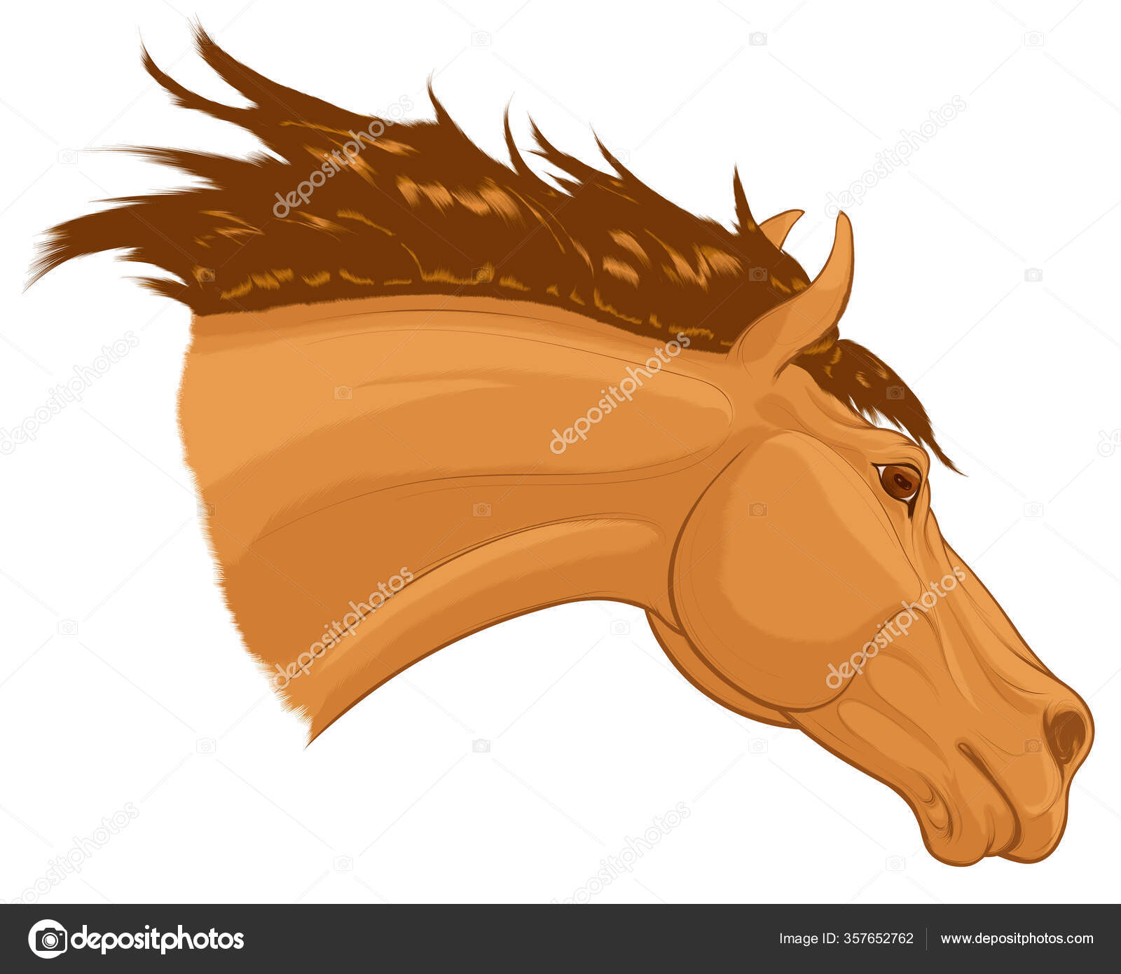 Portrait Running Sorrel Horse Long Fluttering Mane Stallion Lowered Its ...