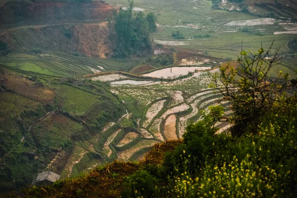 Vietnam sapa rice terraces Stock Photos, Royalty Free Vietnam sapa rice ...