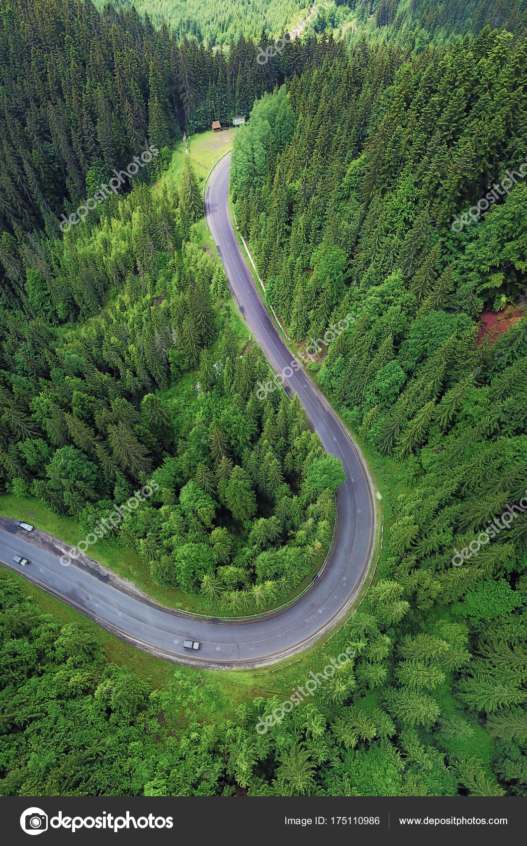 Forest Background Natural Background Air Stock Photo by ©biletskiy_e ...