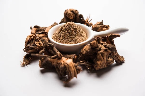 Ayurvedic Chitrak Sheetraj Roots Also Known Plumbago Zeylanica — Stock ...