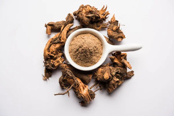 Ayurvedic Chitrak Sheetraj Roots Also Known Plumbago Zeylanica — Stock ...