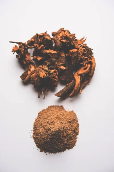 Ayurvedic Chitrak Sheetraj Roots Also Known Plumbago Zeylanica — Stock ...