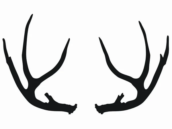 Whitetail Deer Antler Silhouette