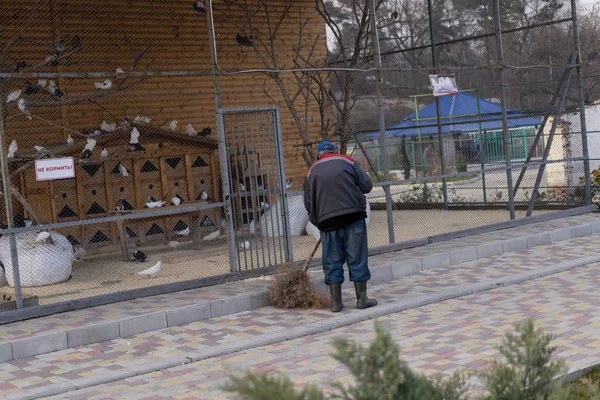 Gardener sweeping Stock Photos, Royalty Free Gardener sweeping Images ...