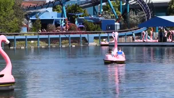 SeaWorld Orlando theme park — Stock Video © WorldClips #123053674