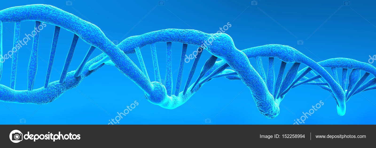 DNA structure, blue background Stock Photo by ©Giovanni_Cancemi 152258994