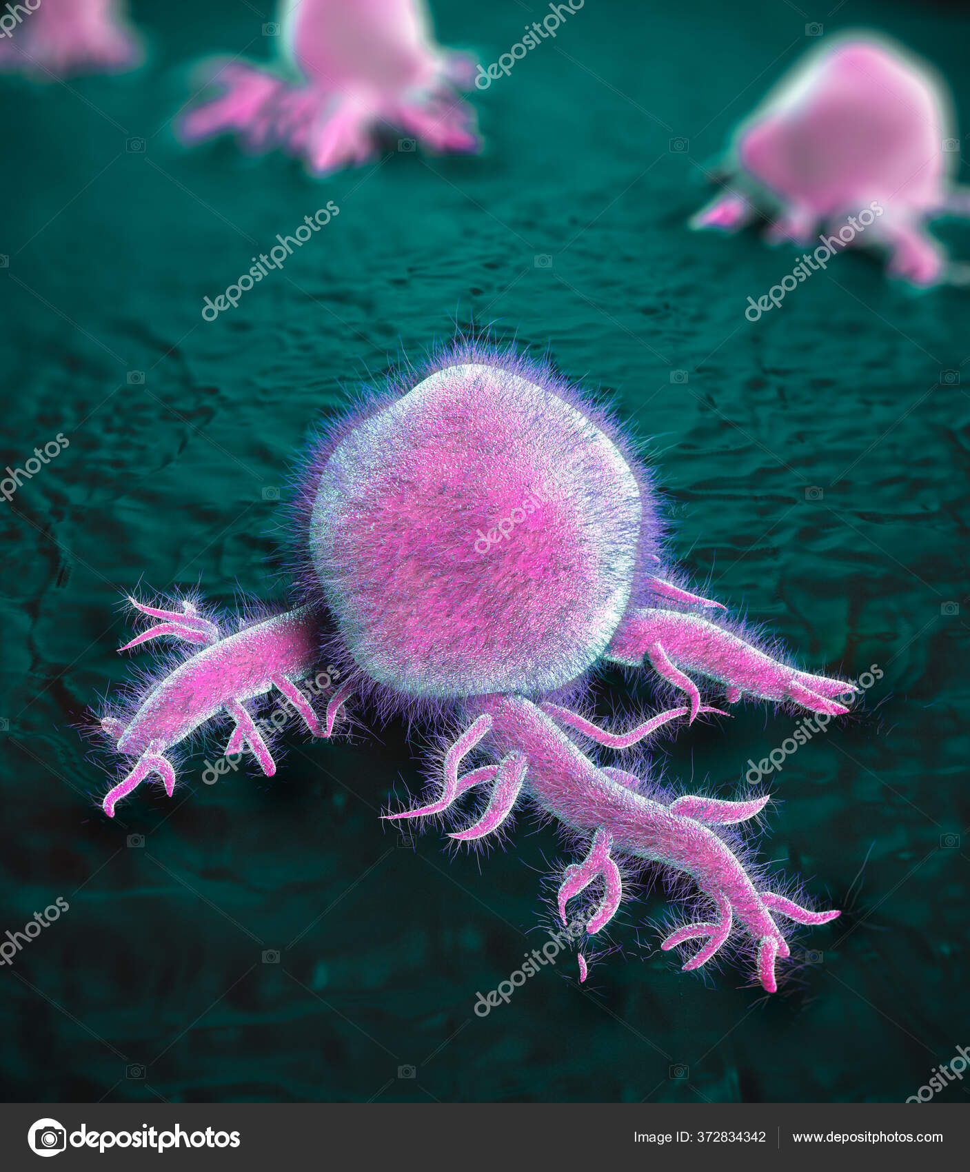 Cancer Cells Microscope Illustration Stock Photo by ©Giovanni_Cancemi ...