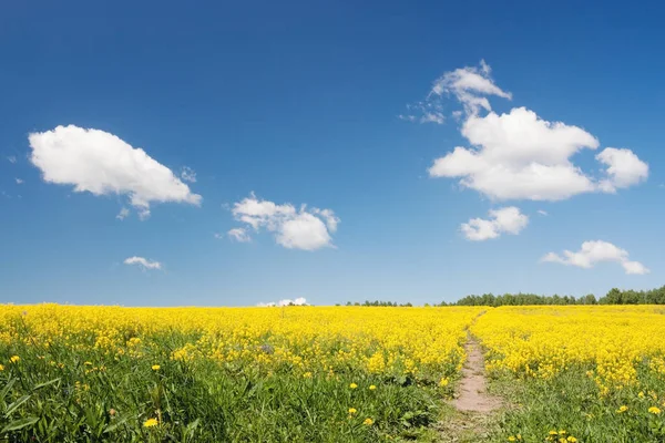 Beautiful day Stock Photos, Royalty Free Beautiful day Images ...