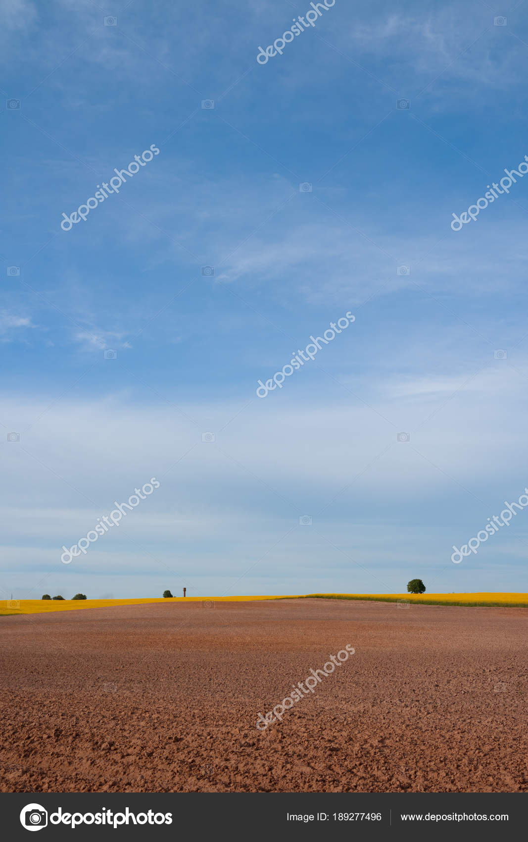 Agriculture, earth rows ready seeding and yellow canola field Stock ...