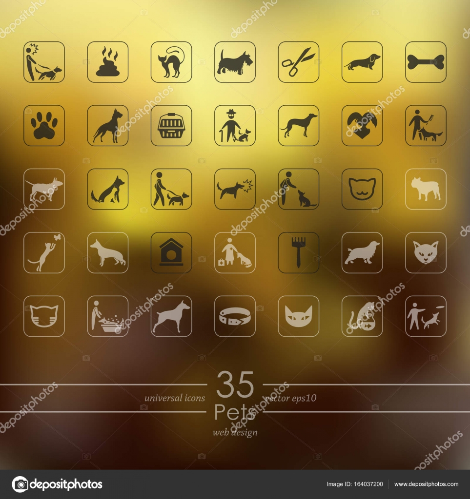 Set of pets icons Stock Vector Image by ©Palau83 #164037200