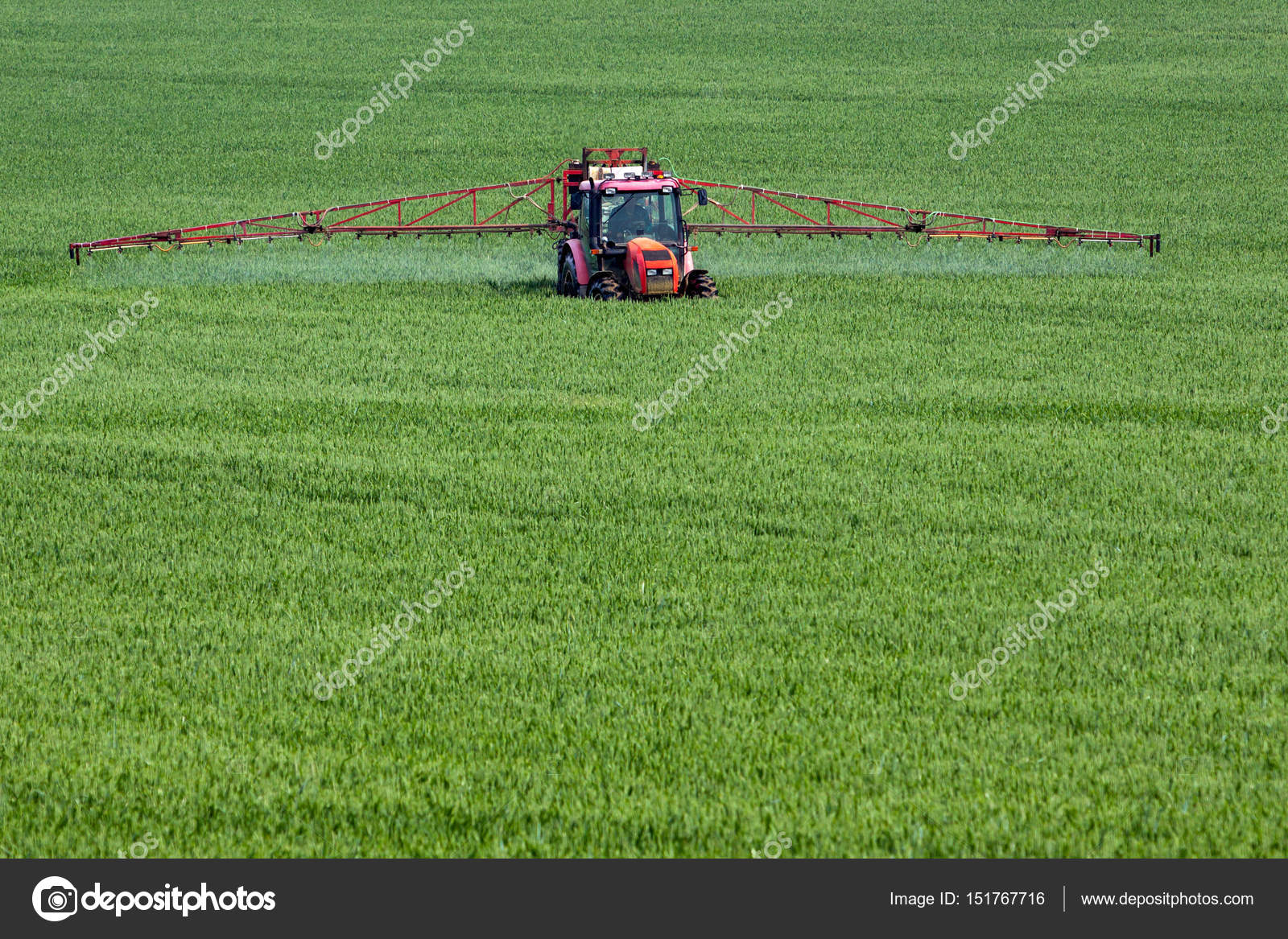 Tractor spraying pesticides on big green field with young grain Stock ...